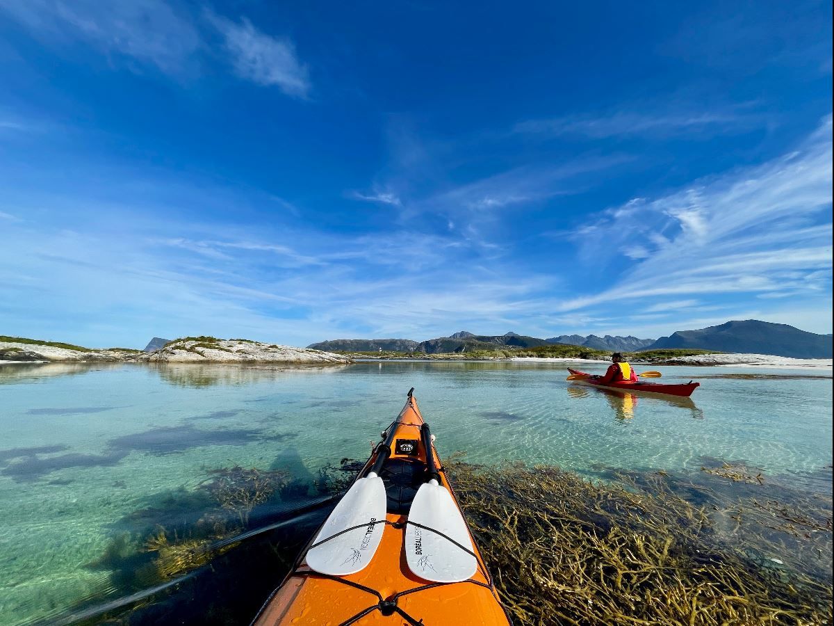 Sommarøy Morning Sea Kayaking with Transfer