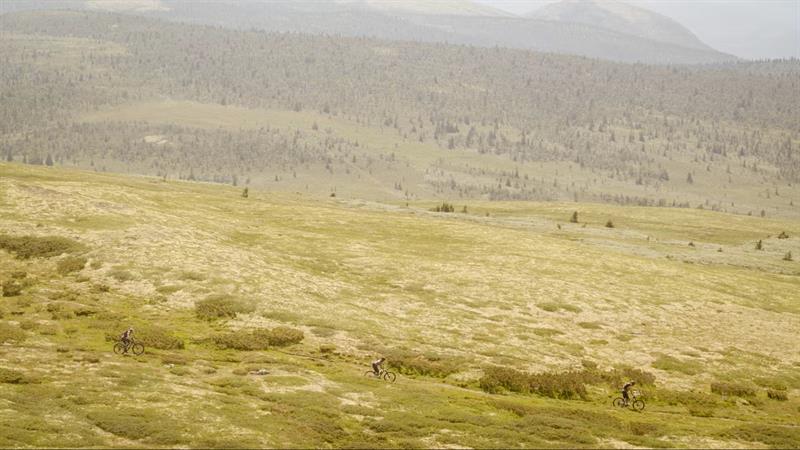 Guided trail biking in Alvdal