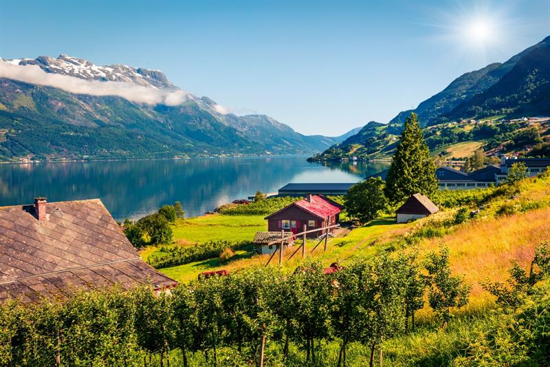 Experience scenic Hardanger - fjord, waterfalls and lunch in an orchard