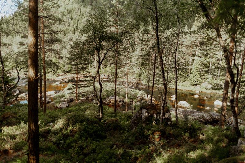 Tee-Pee Hytte