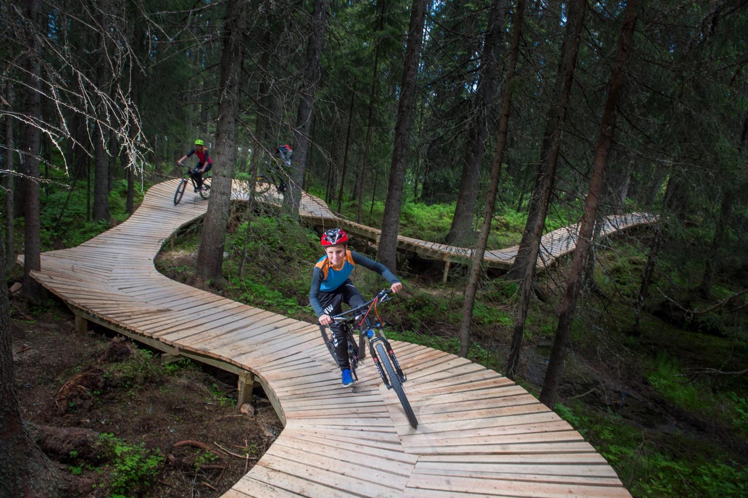 Mountain biking | Single track adventures on MTBs