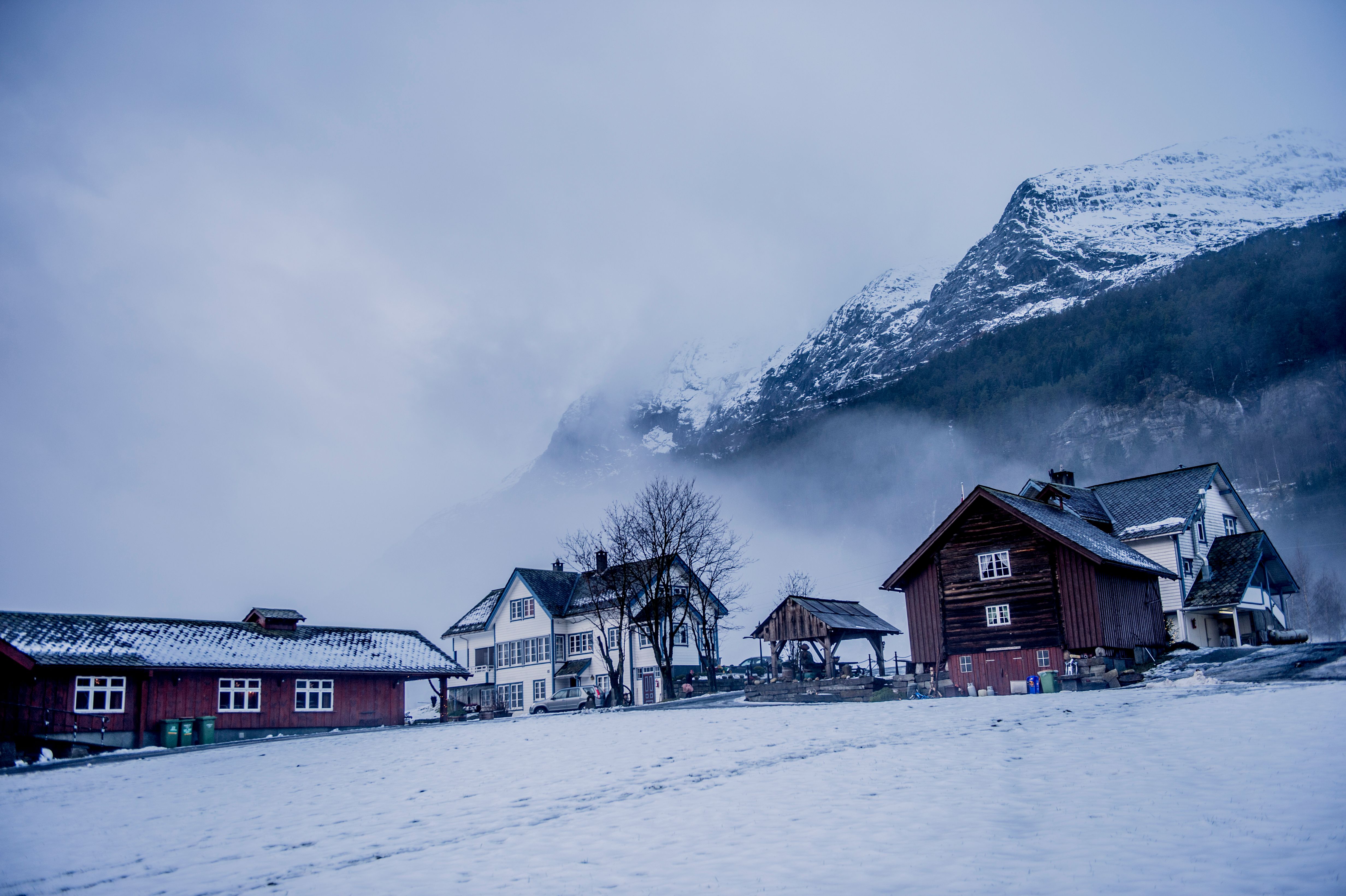 Smalahove – heads on the menu | Local food from Fjord Norway